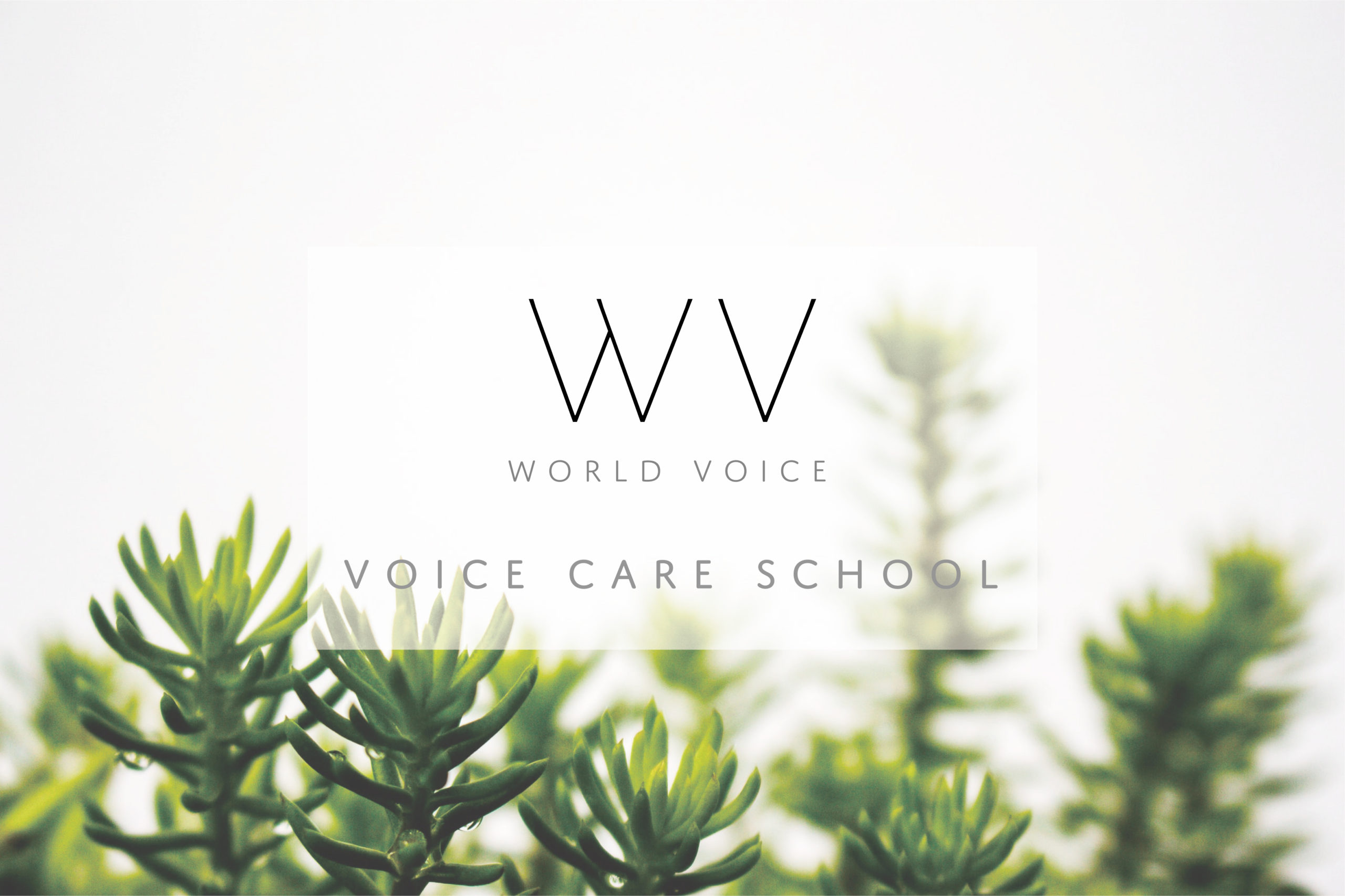 WORLD VOICE | Voice Care School. 自分史上最高の歌声へ